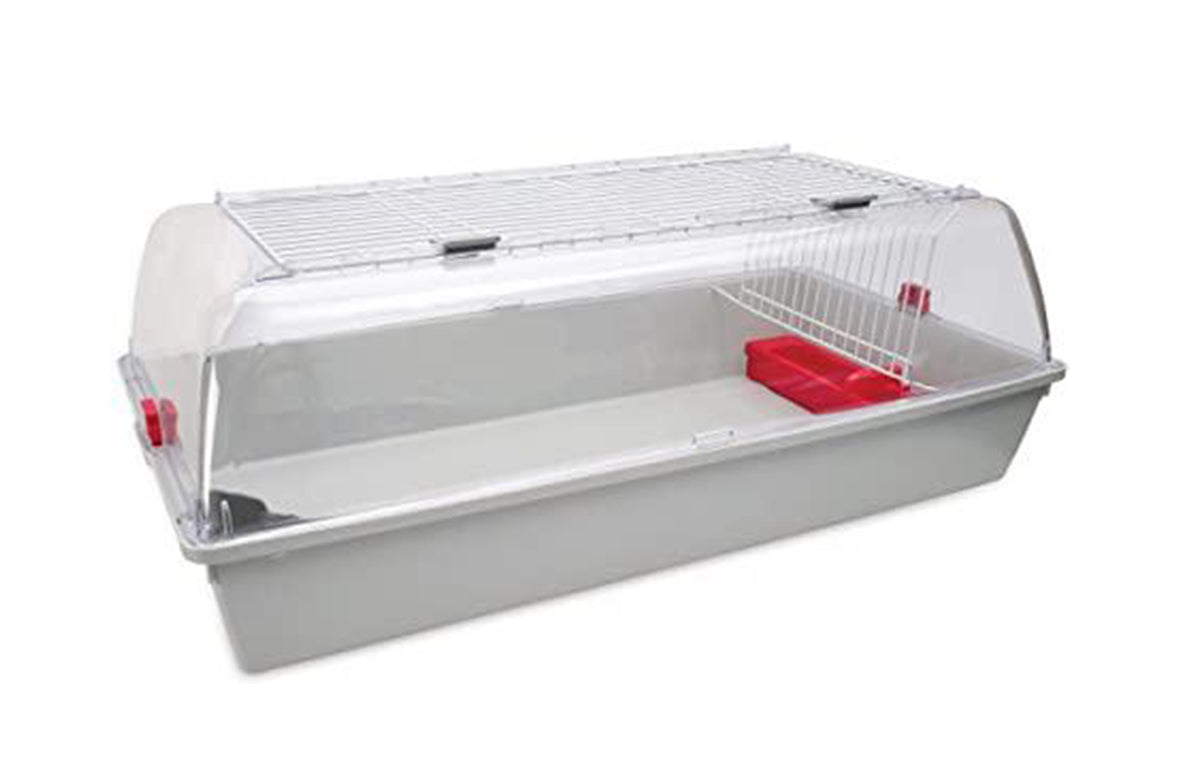 Living World Zoo Zone - Small/Large – 88 Pets Mart